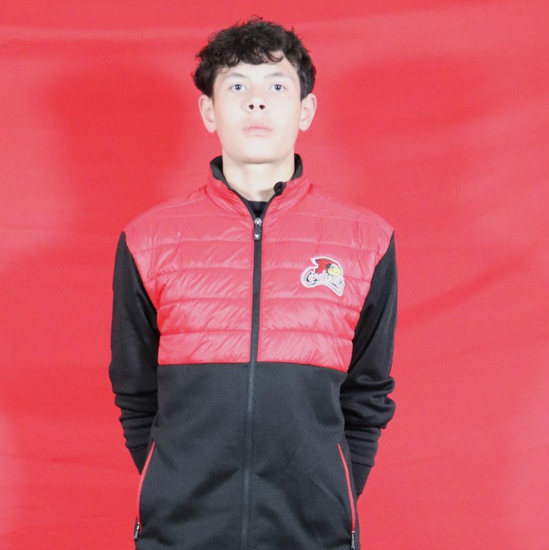 Springfield MO Pickleball Courts & Beginner Clinics